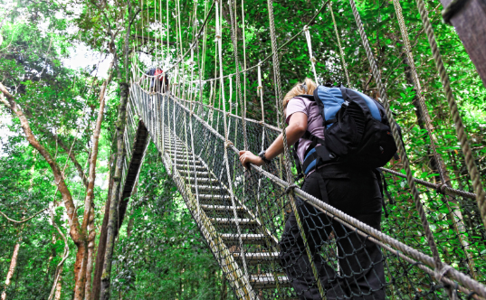 Why High-Element Activities are Perfect for Team Bonding